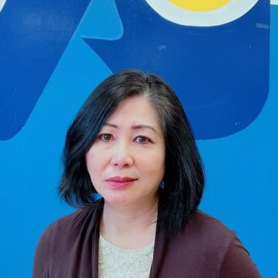 Our Team – Vietnamese Association Of Illinois